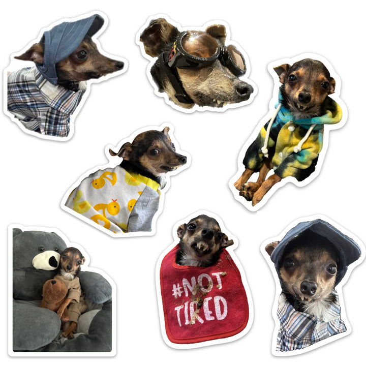 BIG MARV'S SHOP – BIG MARV'S SHOP